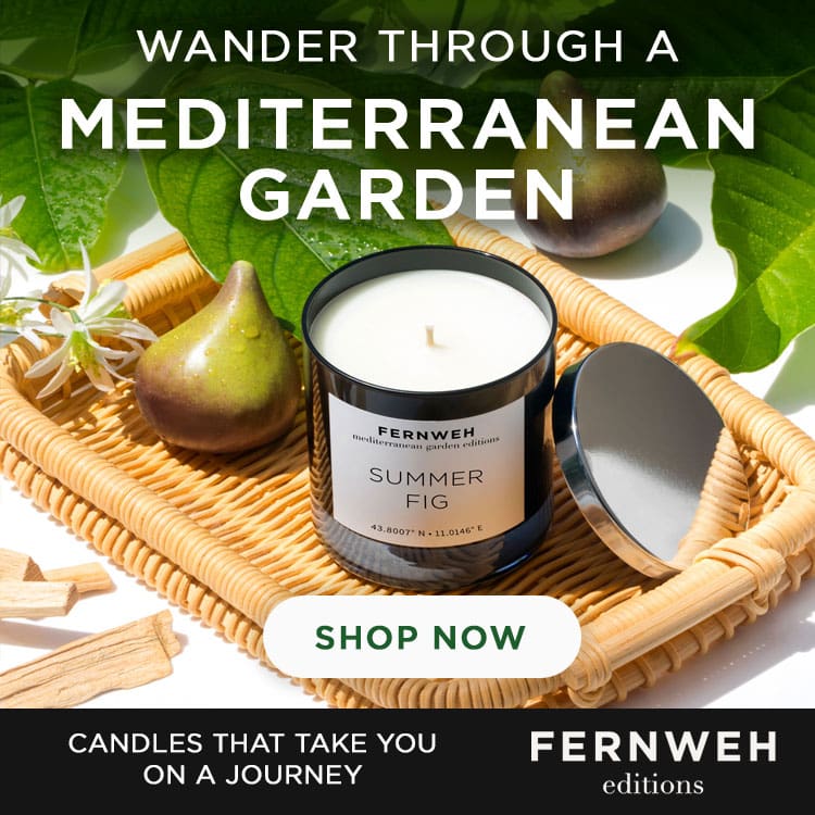 10 Best Wedding Perfumes for a Perfect Smelling Day - Everfumed | The ...