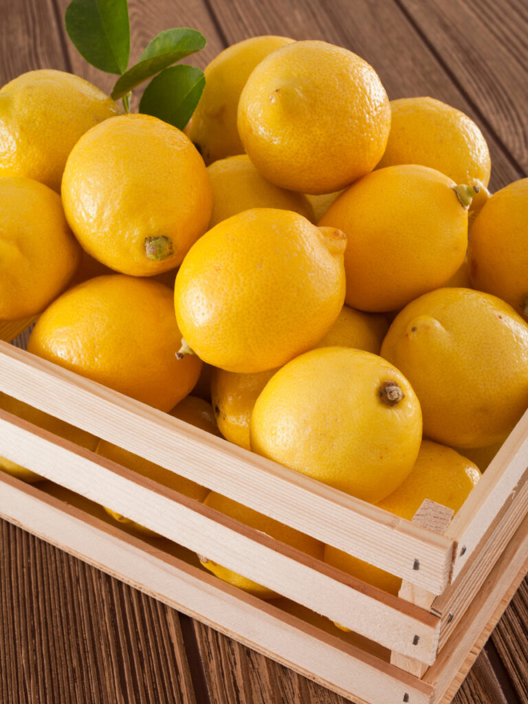 What Does Dolce and Gabbana Light Blue Smell Like? | Dapper Confidential