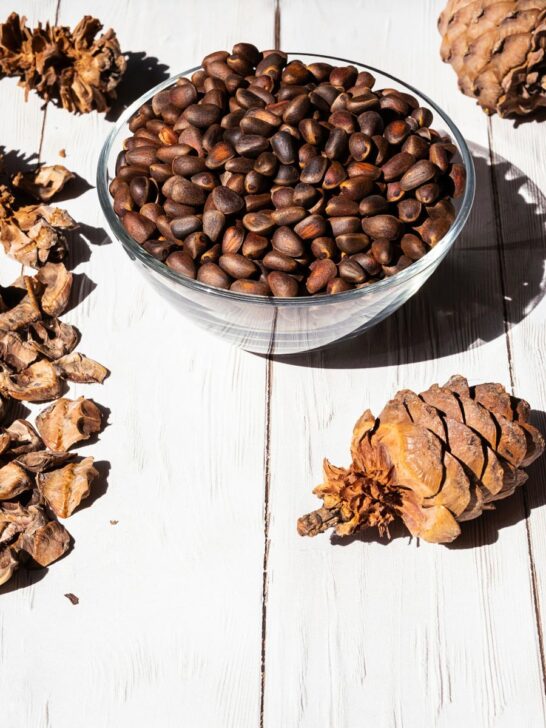 9 of My Favorite Cedar Colognes | Dapper Confidential