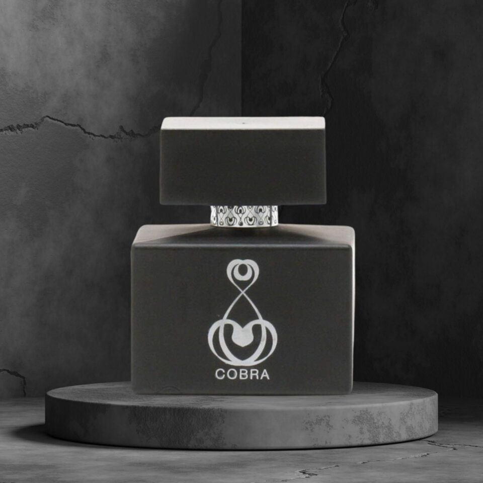 9 Best Cheap Colognes: Affordable Designer Scents | Dapper Confidential